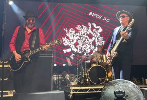 Review: Ruts DC's new album 'Counterculture?' | Punktuation!