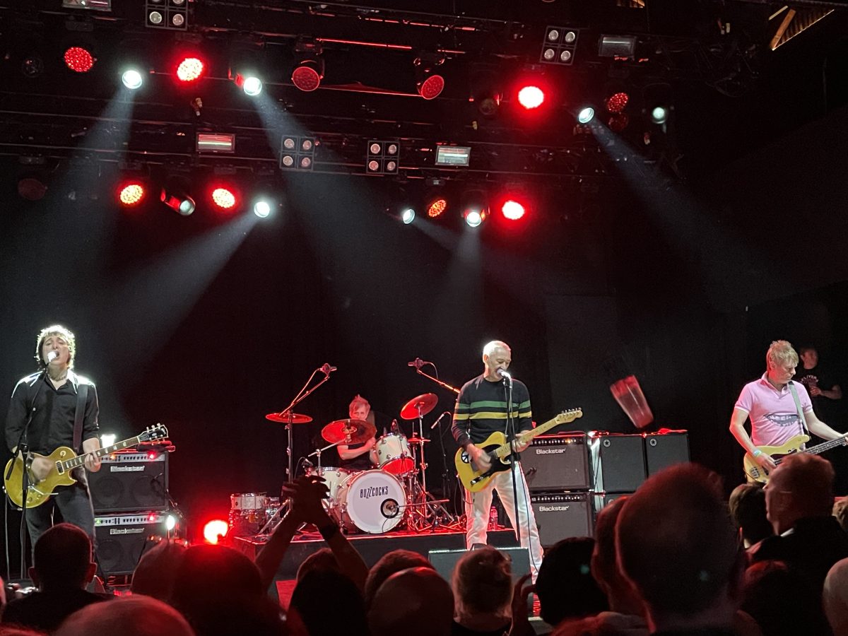 Review: Singles Going Steady- live and direct! | Punktuation!