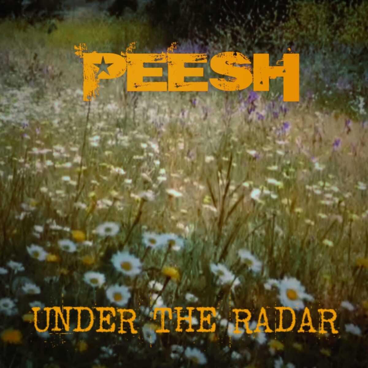 Peesh goes 'Under the Radar' in his new seasonal project! | Punktuation!